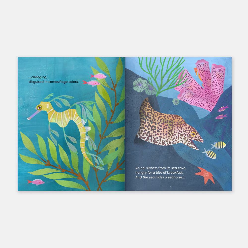 The Sea Hides a Seahorse – The Collective Book Studio