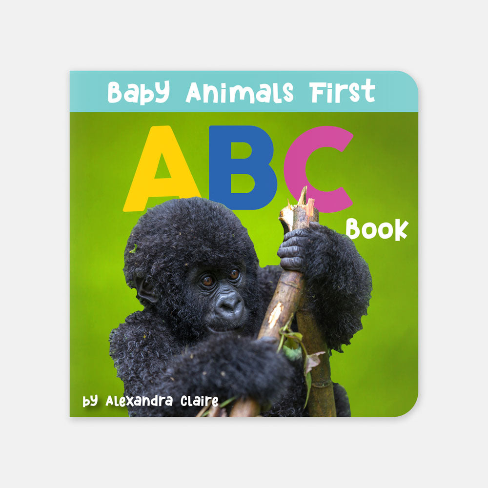 Baby Animals First ABC Book | An Animal Alphabet Board Book – The ...
