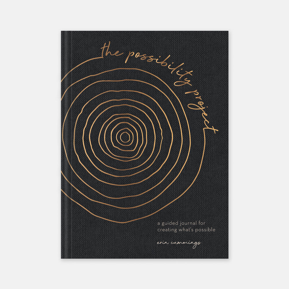 The Possibility Project | A Guided Journal for Creating What's Possible ...